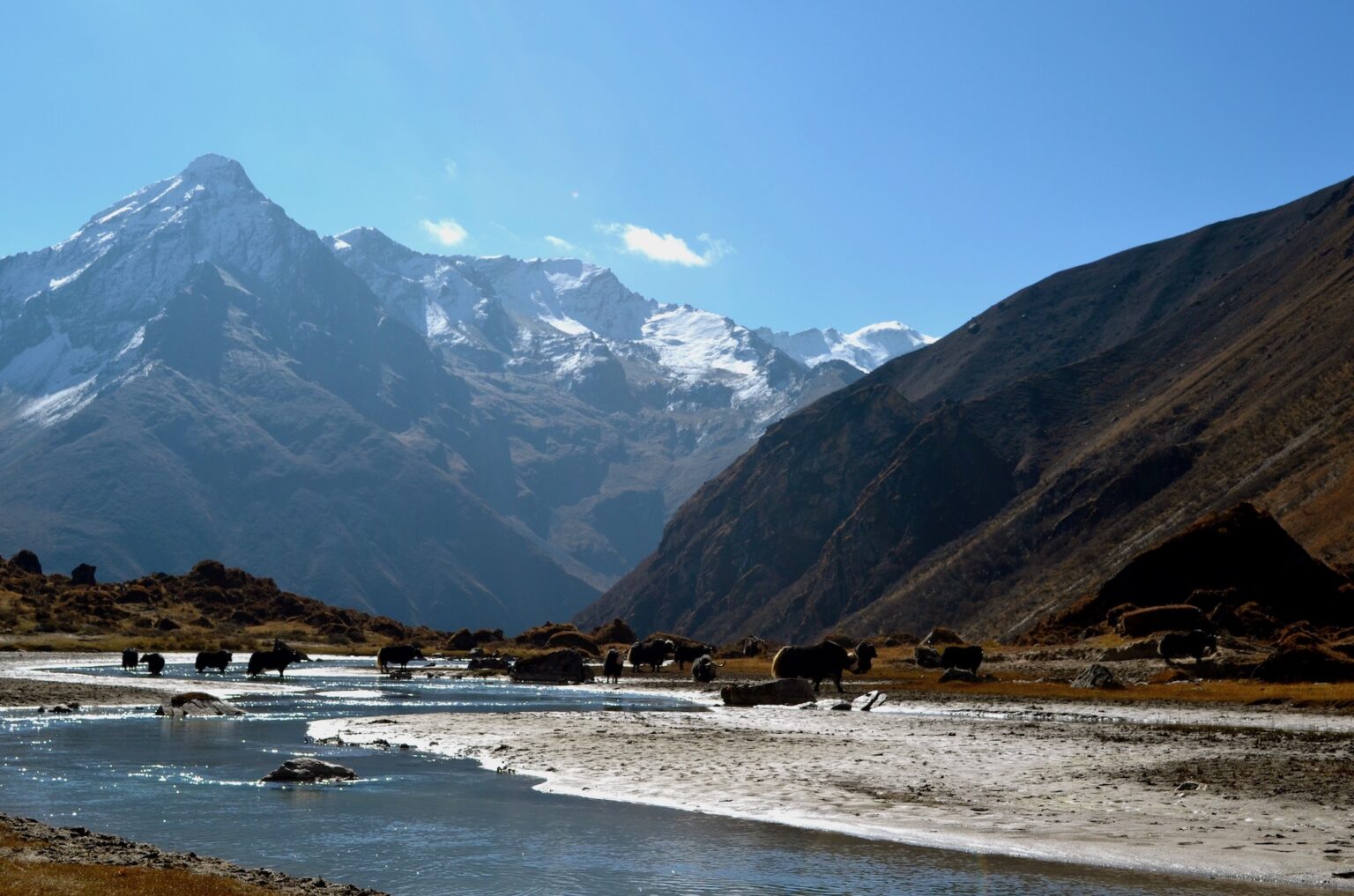 16 days - Jhomolhari Trek combining Bhutan above the Clouds - Bhutan ...